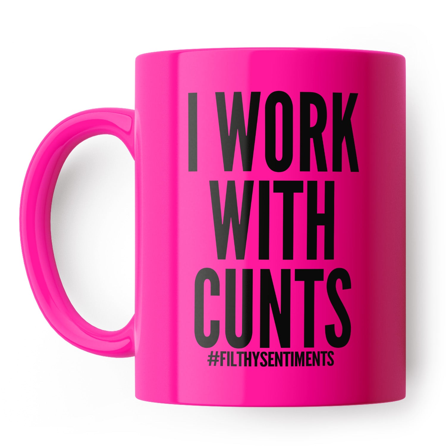 I Work With Cunts Mug